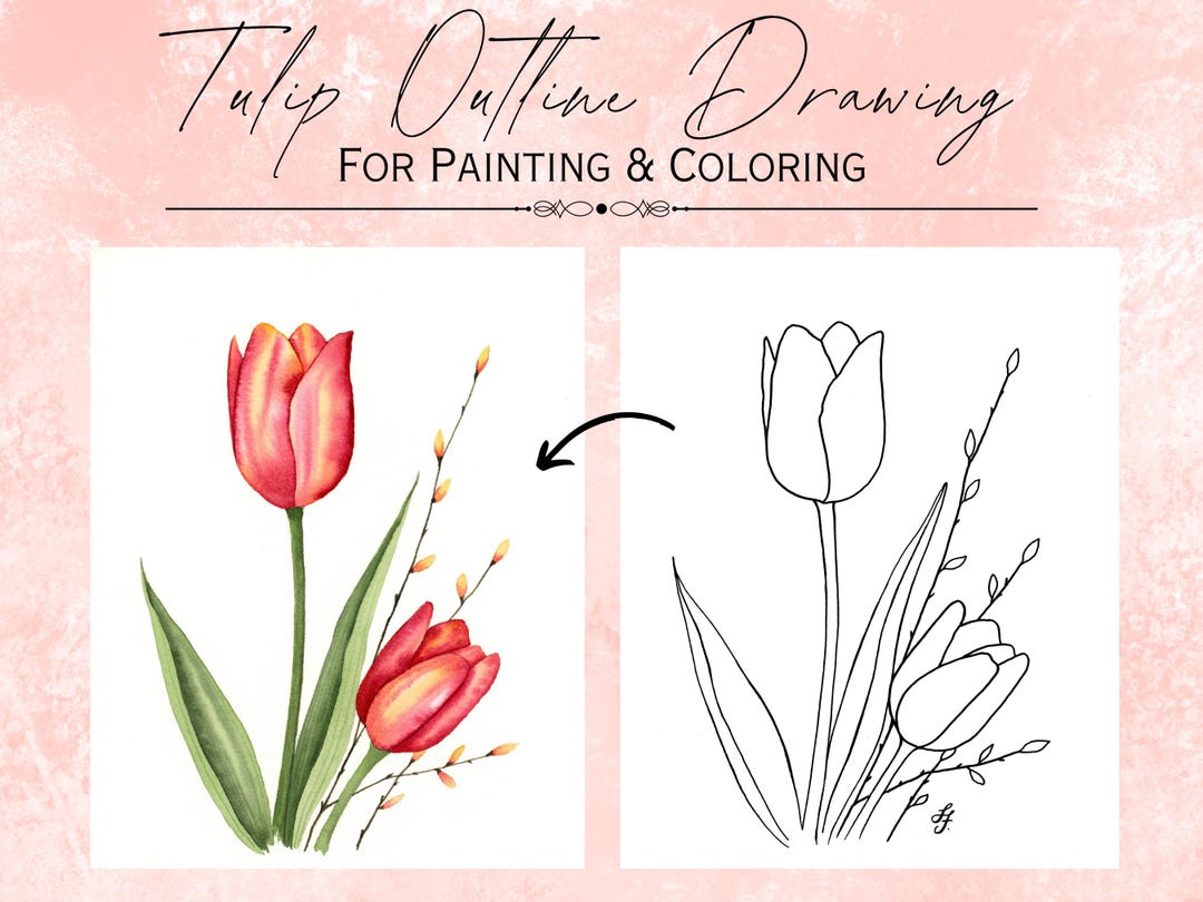 8x10 Tulip Outline Drawing PDF Digital Download Template for Painting ...