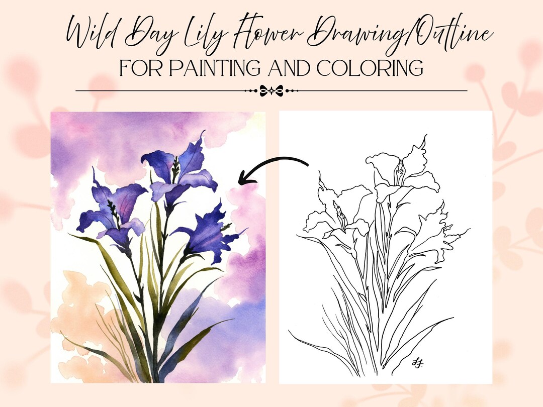 Bold Wild Day Lily Drawing Outline PDF Digital Download Template for ...