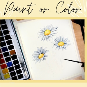 Daisy Flower Drawing Outline Digital Download Printable Traceable ...