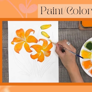 Tiger Lily Flower Printable Outline for Painting and Coloring! - Etsy
