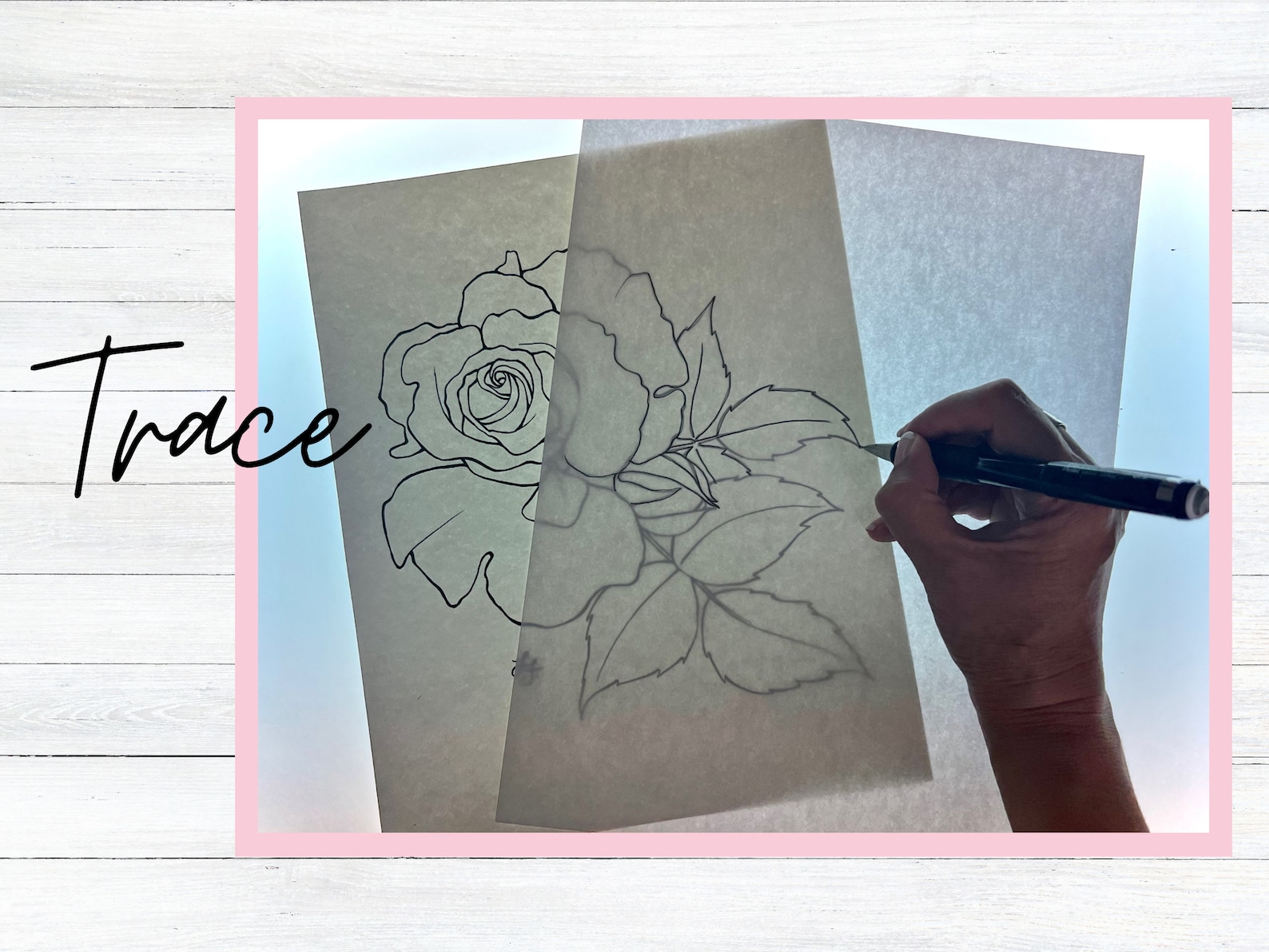 Rose Flower Drawing Outline/template Printable Traceable PDF Coloring ...