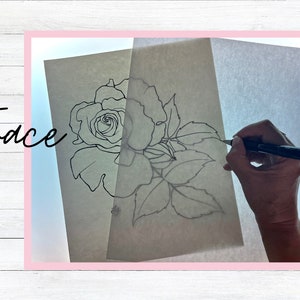 Rose Flower Drawing Outline/template Printable Traceable PDF Coloring ...