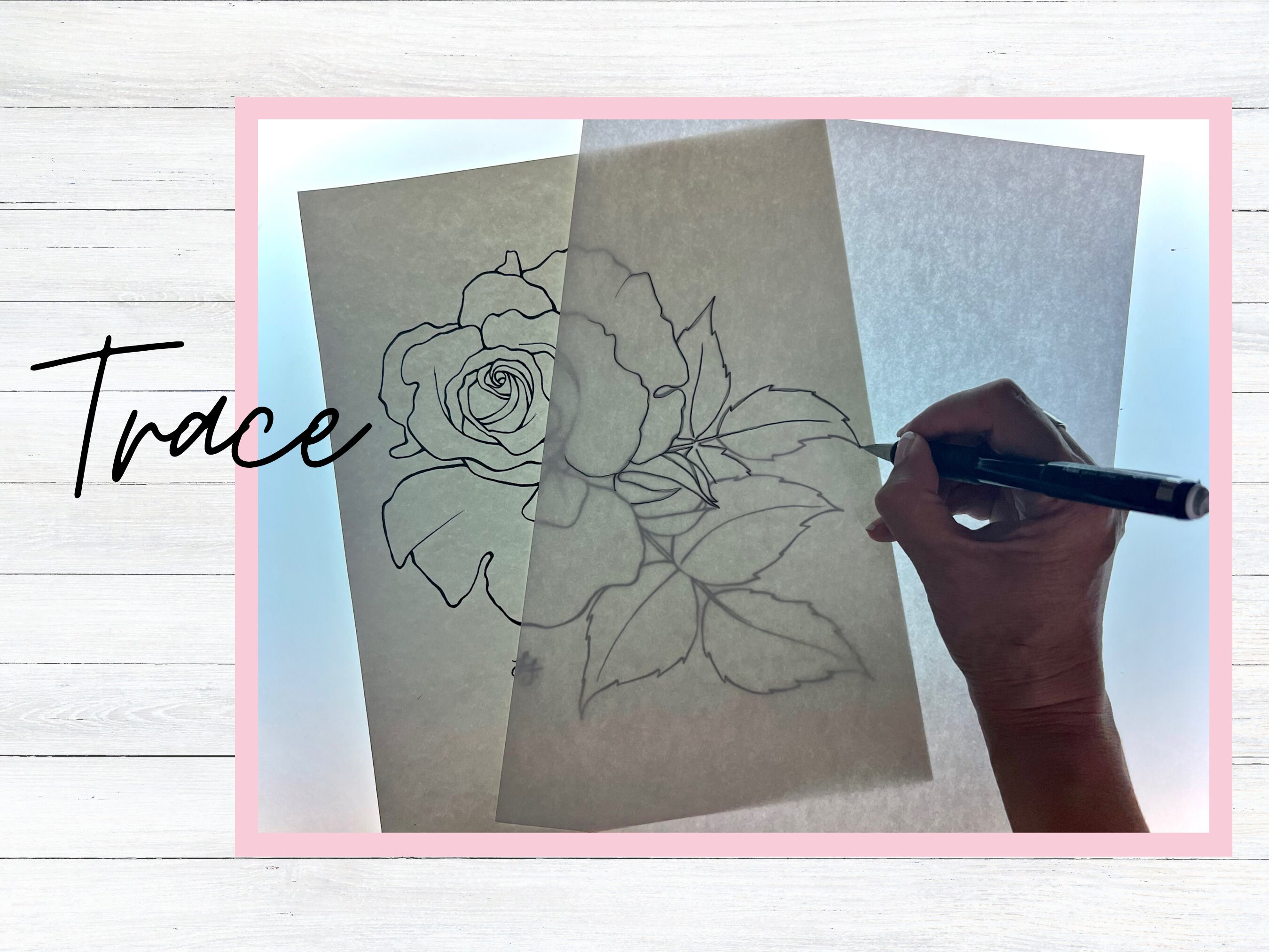 Rose Flower Drawing Outline/template Printable Traceable PDF Coloring ...