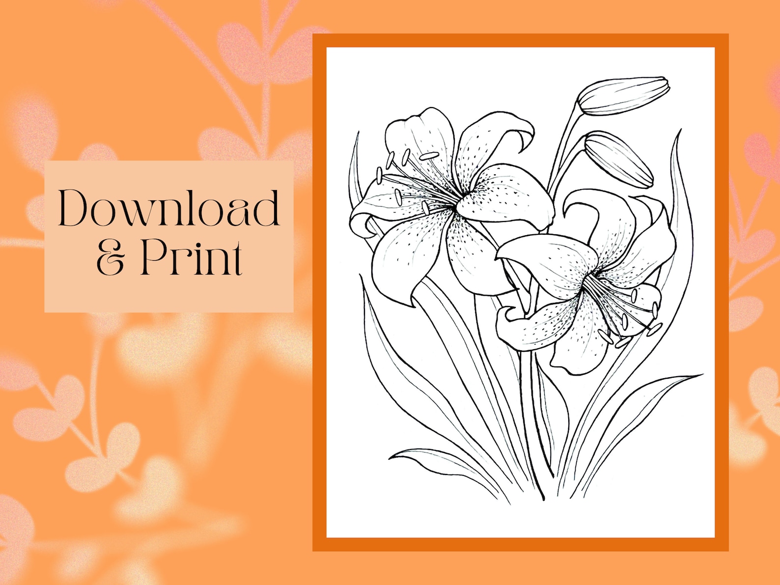 Tiger Lily Flower Printable Outline for Painting and Coloring! - Etsy