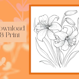 Tiger Lily Flower Printable Outline for Painting and Coloring! - Etsy
