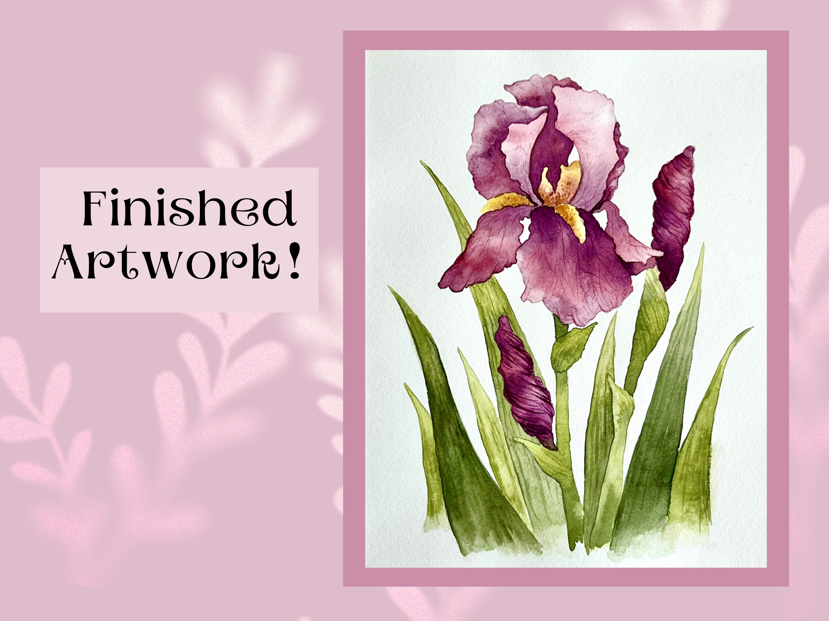 Iris Flower Outline Template Download Digital Pdf Printout Etsy