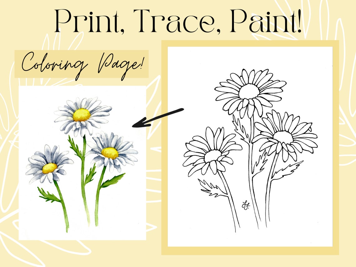 Daisy Flower Drawing Outline Digital Download Printable - Etsy