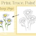 Daisy Flower Drawing Outline Digital Download Printable Traceable ...