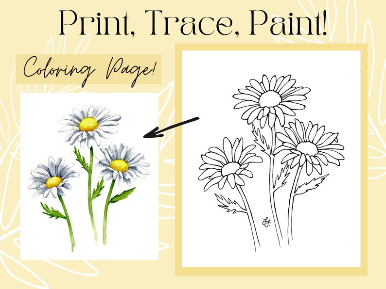 Daisy Flower Drawing Outline Digital Download Printable - Etsy