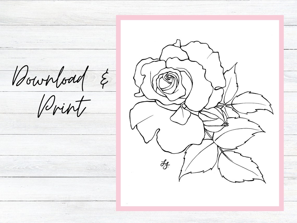 Rose Flower Drawing Outline/template Printable Traceable PDF - Etsy