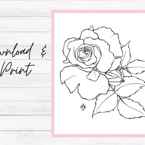 Rose Flower Drawing Outline/template Printable Traceable PDF Coloring ...