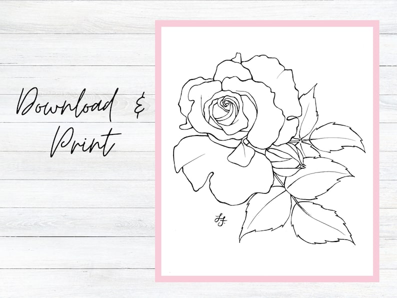 Rose Flower Drawing Outline/template Printable Traceable PDF Coloring ...
