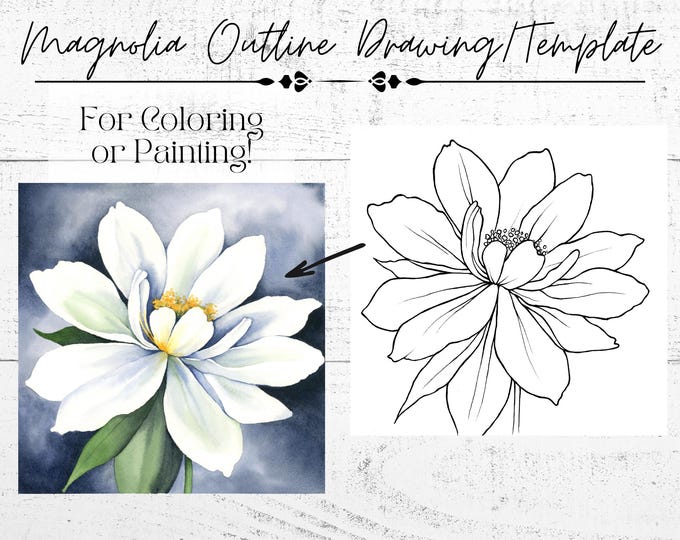 Magnolia Drawing Printable Traceable Template Outline Page for Coloring ...