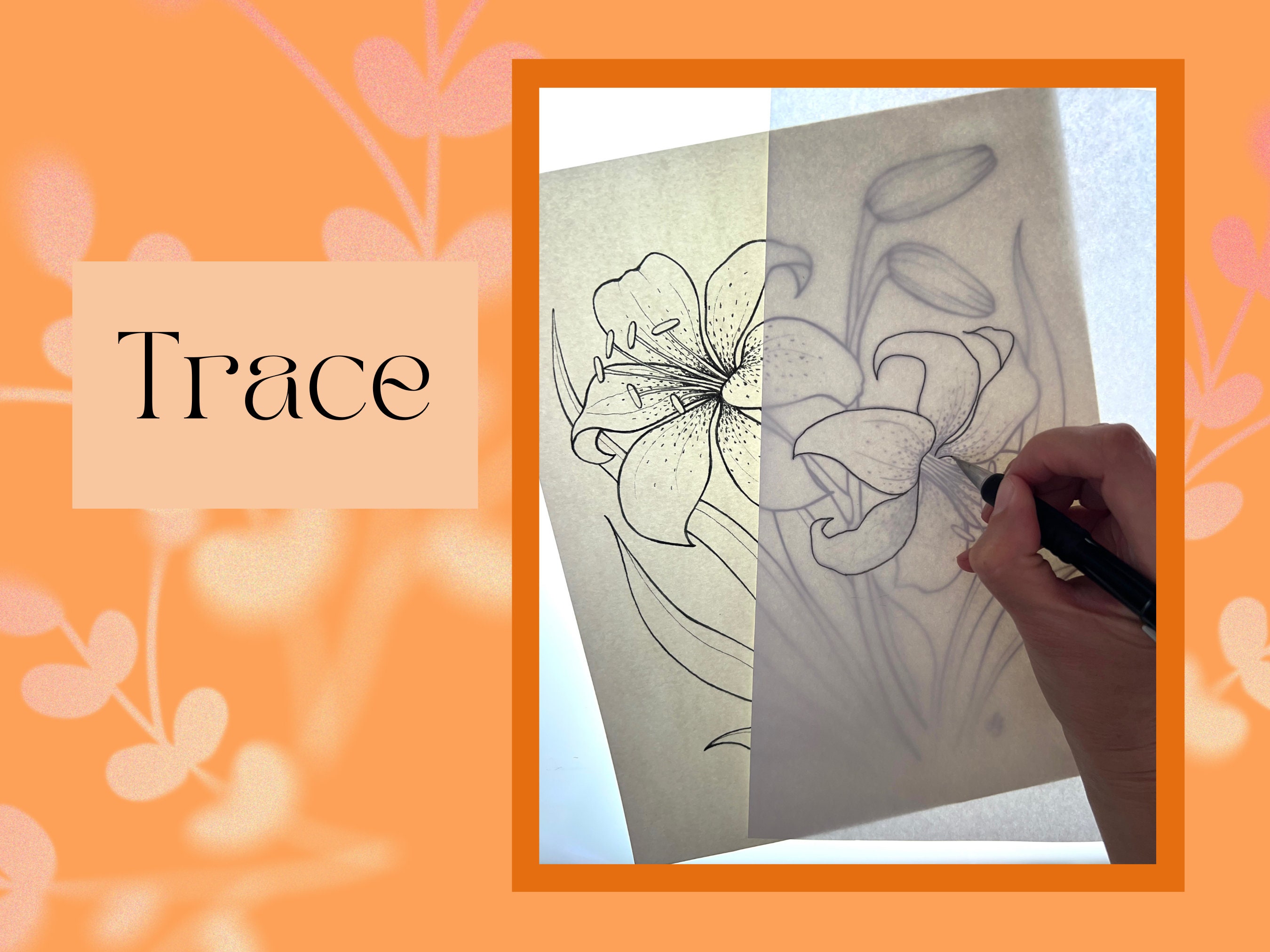 Tiger Lily Flower Printable Outline for Painting and Coloring! - Etsy