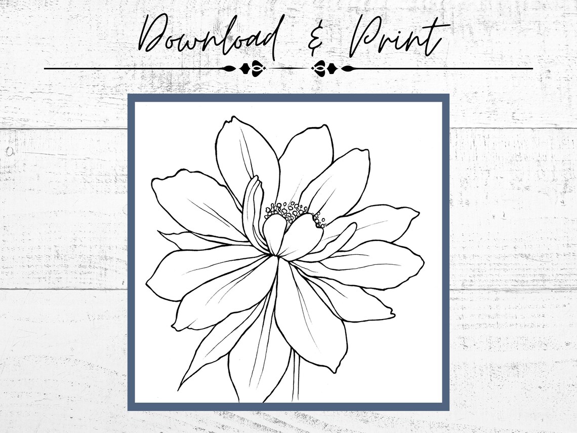 Magnolia Drawing Printable Traceable Template Outline Page for Coloring ...