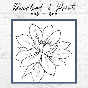 Magnolia Drawing Printable Traceable Template Outline Page for Coloring ...