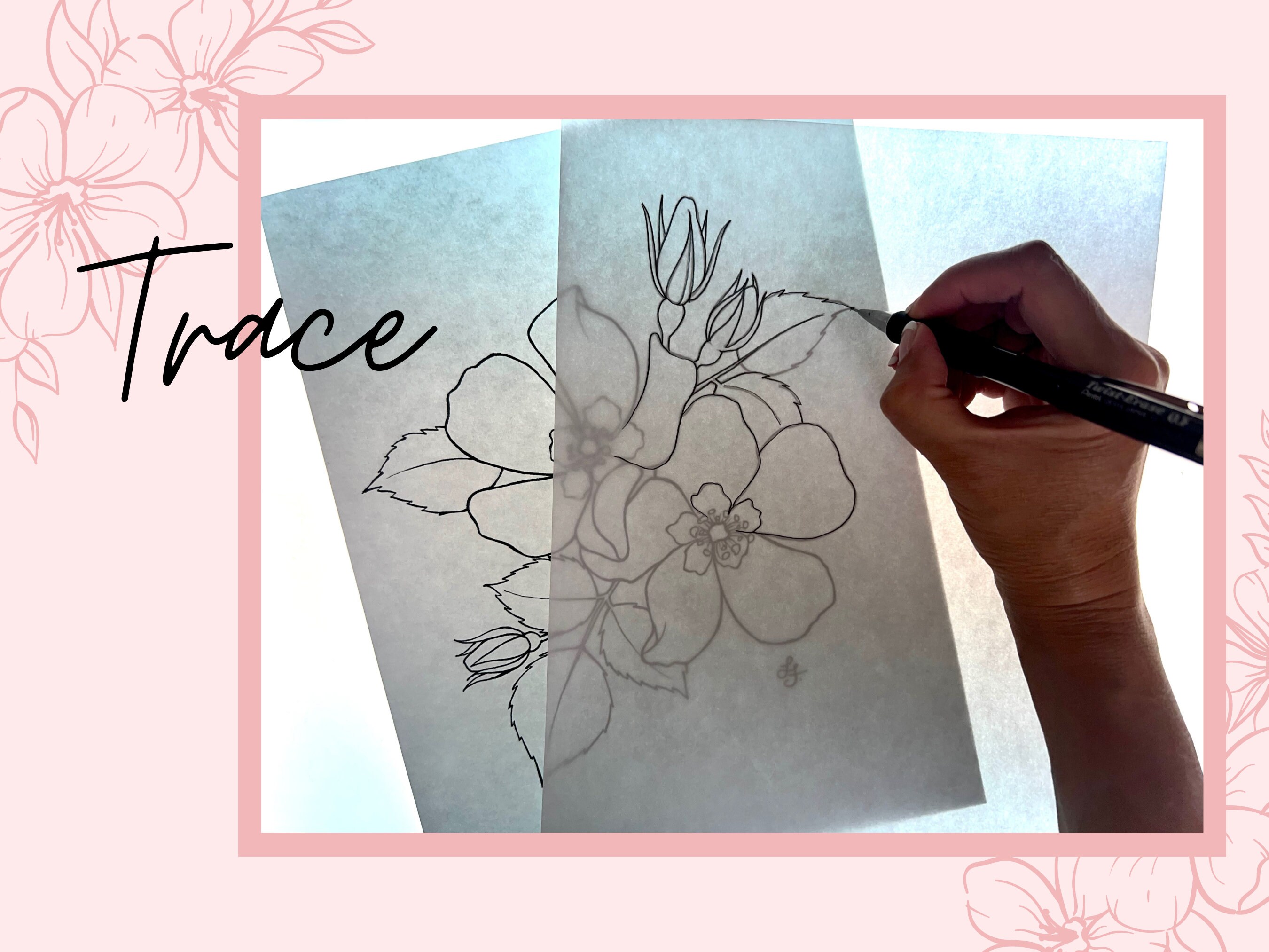 Wild Rose Flower Drawing Printable Outline PDF Digital Download for ...
