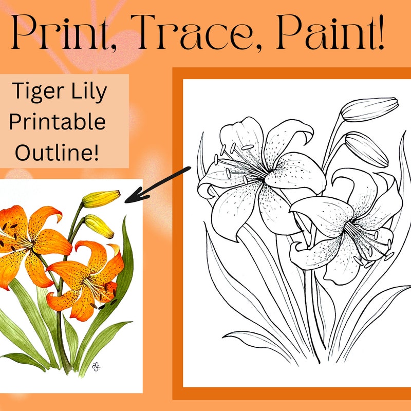 Tiger Lily Collectibles - Etsy