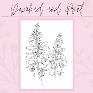 Foxglove Flower Drawing Outline Coloring/painting PDF Printable ...