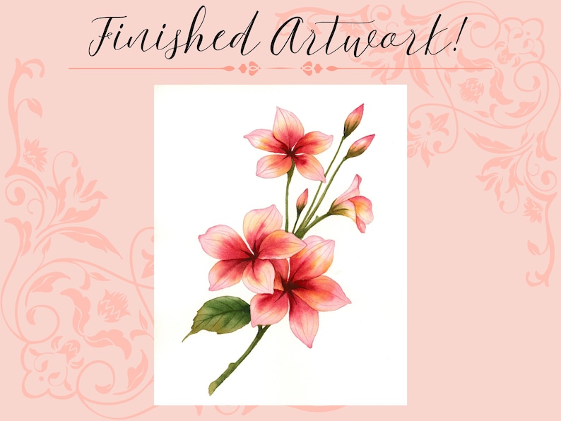 Tropical Flower Outline Drawing Traceable Template PDF Digital Download ...