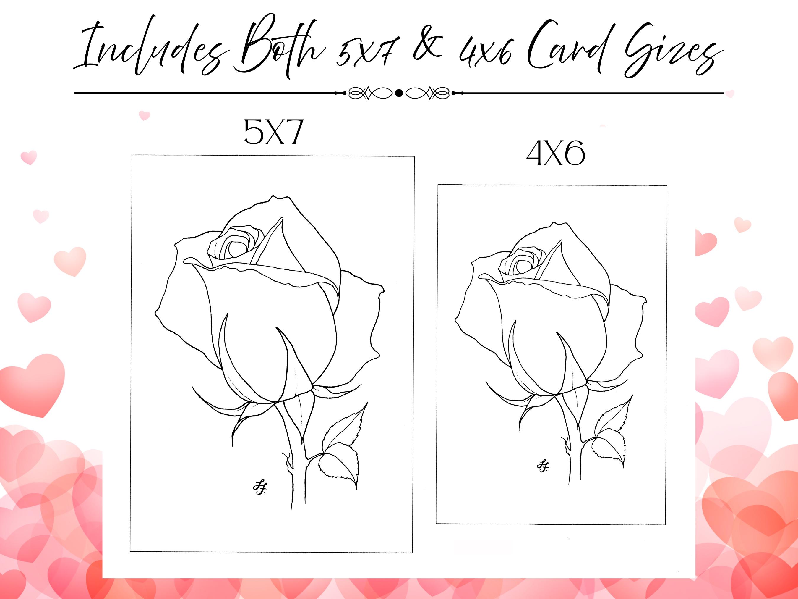 4x6 & 5x7 Card Sizes Large Rose Bud Drawing Outline PDF Template for ...