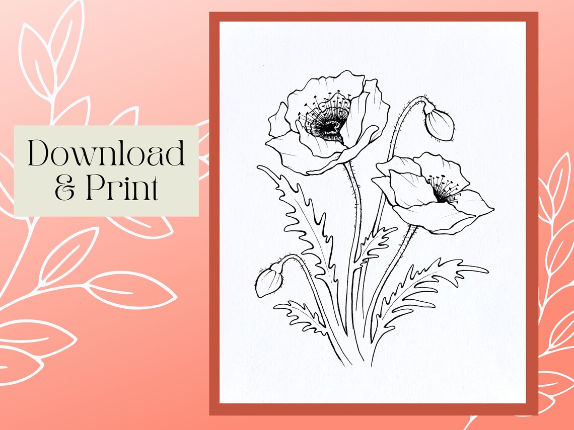Poppy Flower Outline Drawing/digital PDF Printable! Download, Print ...