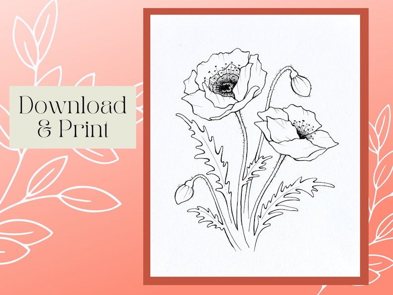 Poppy Flower Outline Drawing/digital PDF Printable! Download, Print ...