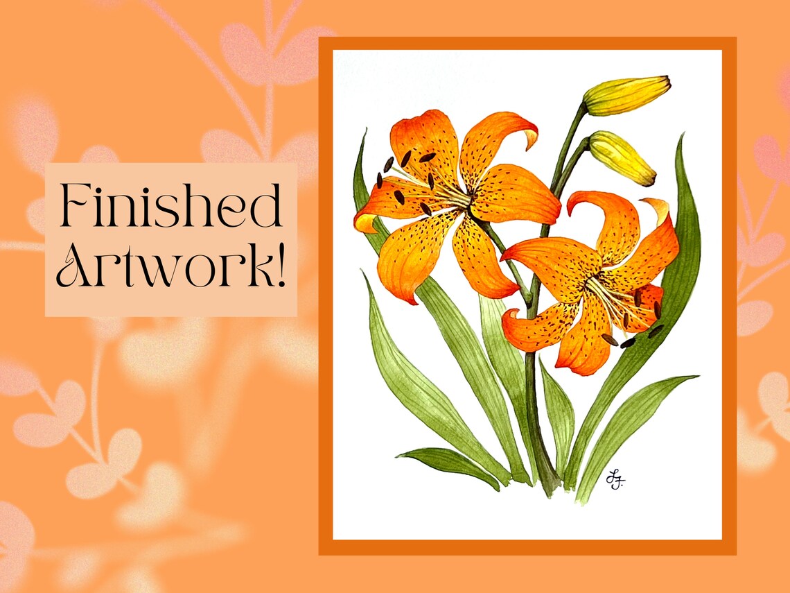 Tiger Lily Flower Printable Outline for Painting and Coloring! - Etsy