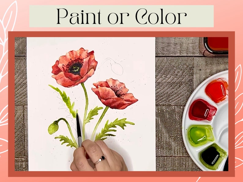 Poppy Flower Outline Drawing/digital PDF Printable! Download, Print ...
