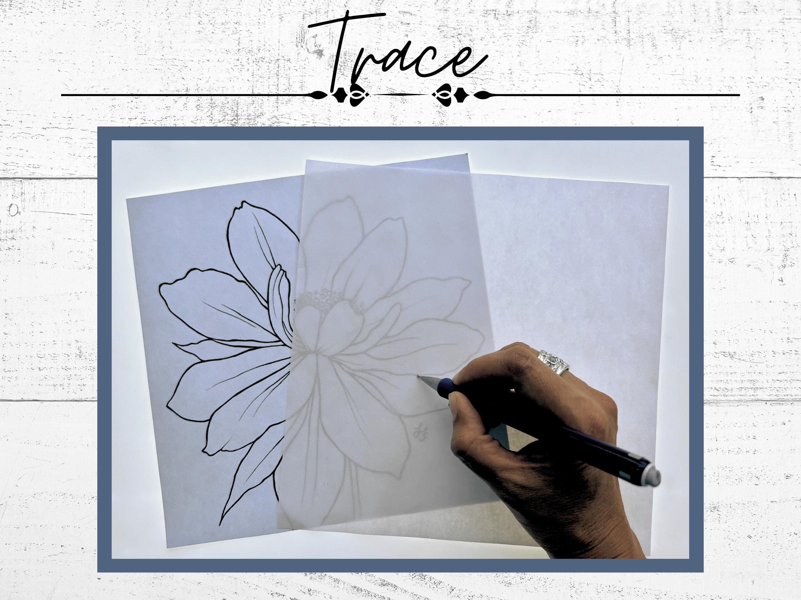 Magnolia Drawing Printable Traceable Template Outline Page for Coloring ...