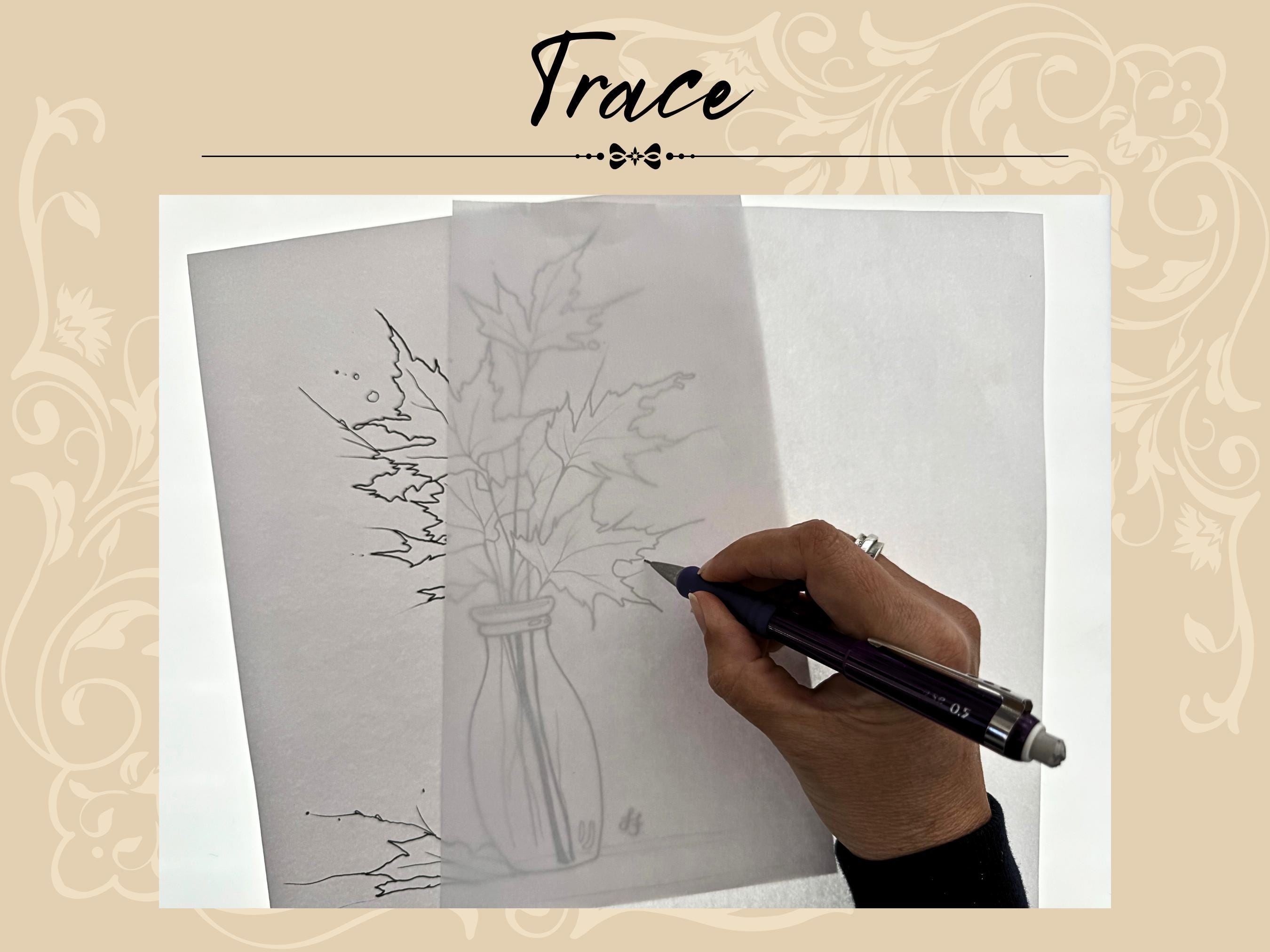 Autumn Leaf in Glass Vase Still Life Drawing Outline Digital Download ...