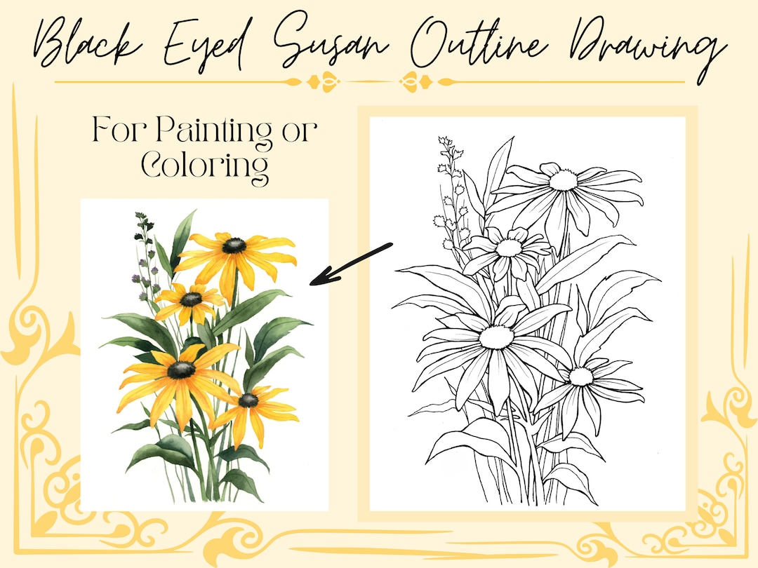 Black Eyed Susan Flower Drawing PDF Digital Outline Page for Coloring ...