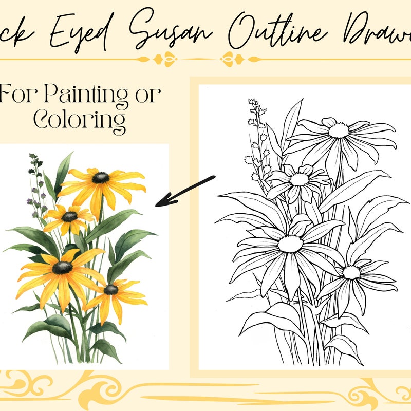 Black Line Studio - Etsy