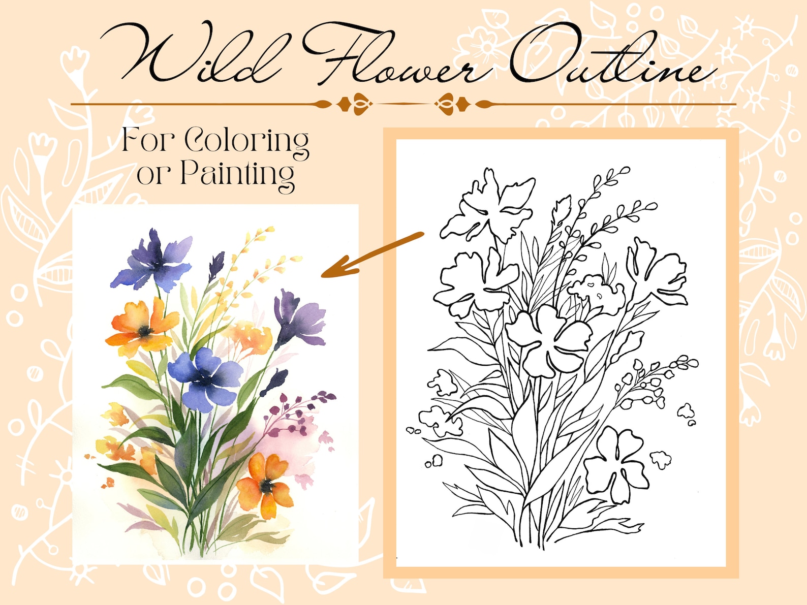 Wild Flower Outline Drawing PDF Digital Download for Coloring or ...