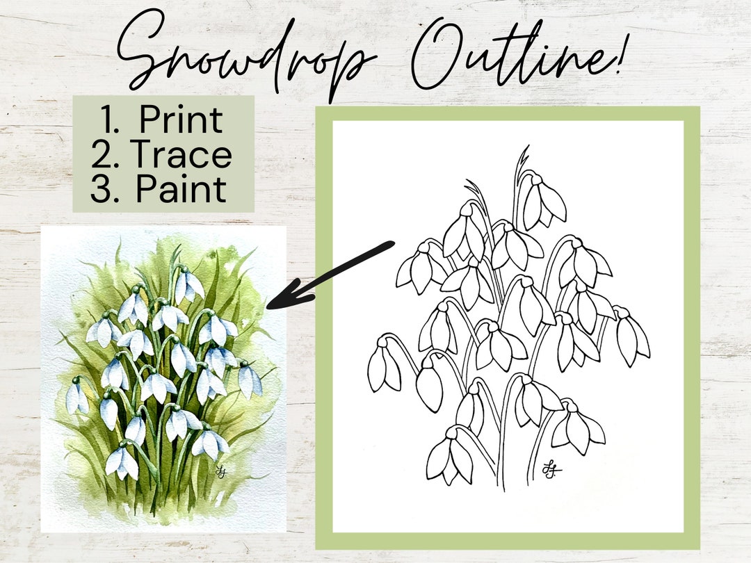 Snowdrop Flower Outline/template! Digital Printable PDF - Etsy
