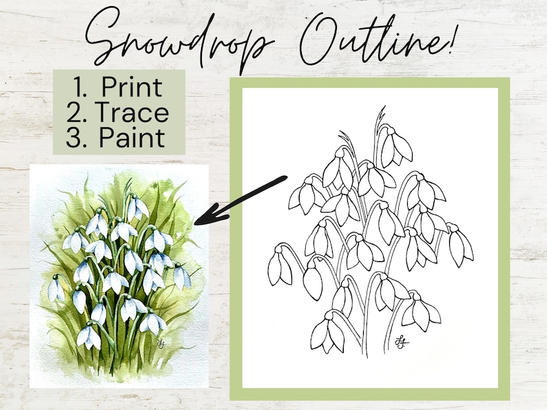 Snowdrop Flower Outline/template! Digital Printable PDF - Etsy