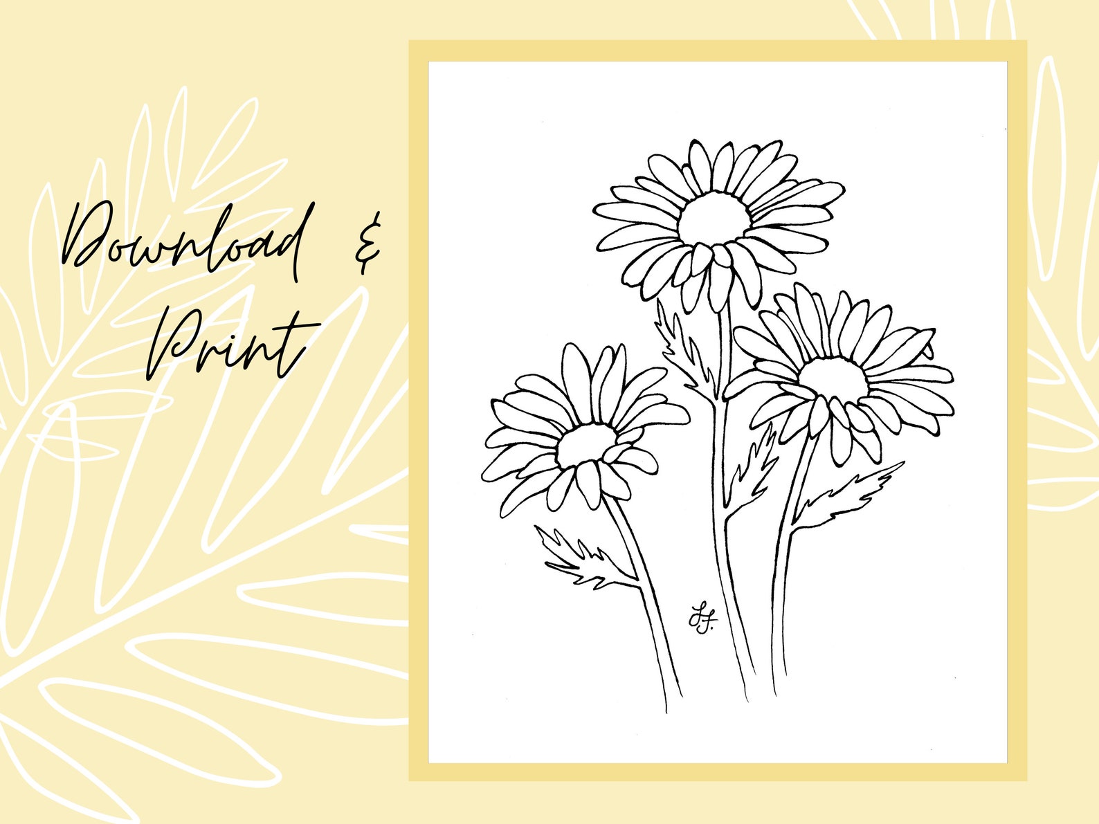 Daisy Flower Drawing Outline Digital Download Printable Traceable ...
