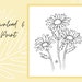 Daisy Flower Drawing Outline Digital Download Printable Traceable ...
