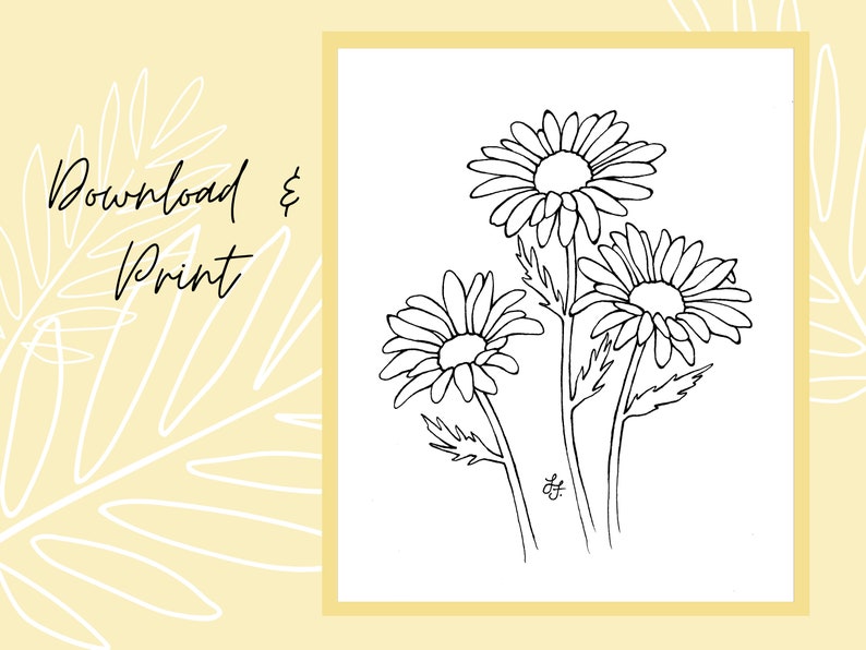 Daisy Flower Drawing Outline Digital Download Printable - Etsy