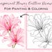 Tiger Lily Flower Printable Outline for Painting and Coloring! - Etsy