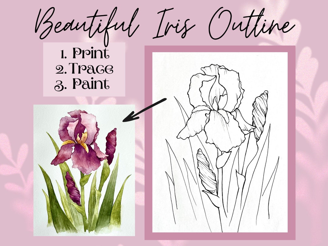 Iris Flower Outline/template! Download Digital PDF Printout! - Etsy
