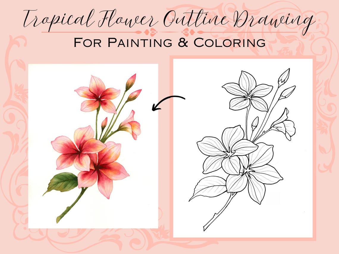 Tropical Flower Outline Drawing Traceable Template PDF Digital Download ...