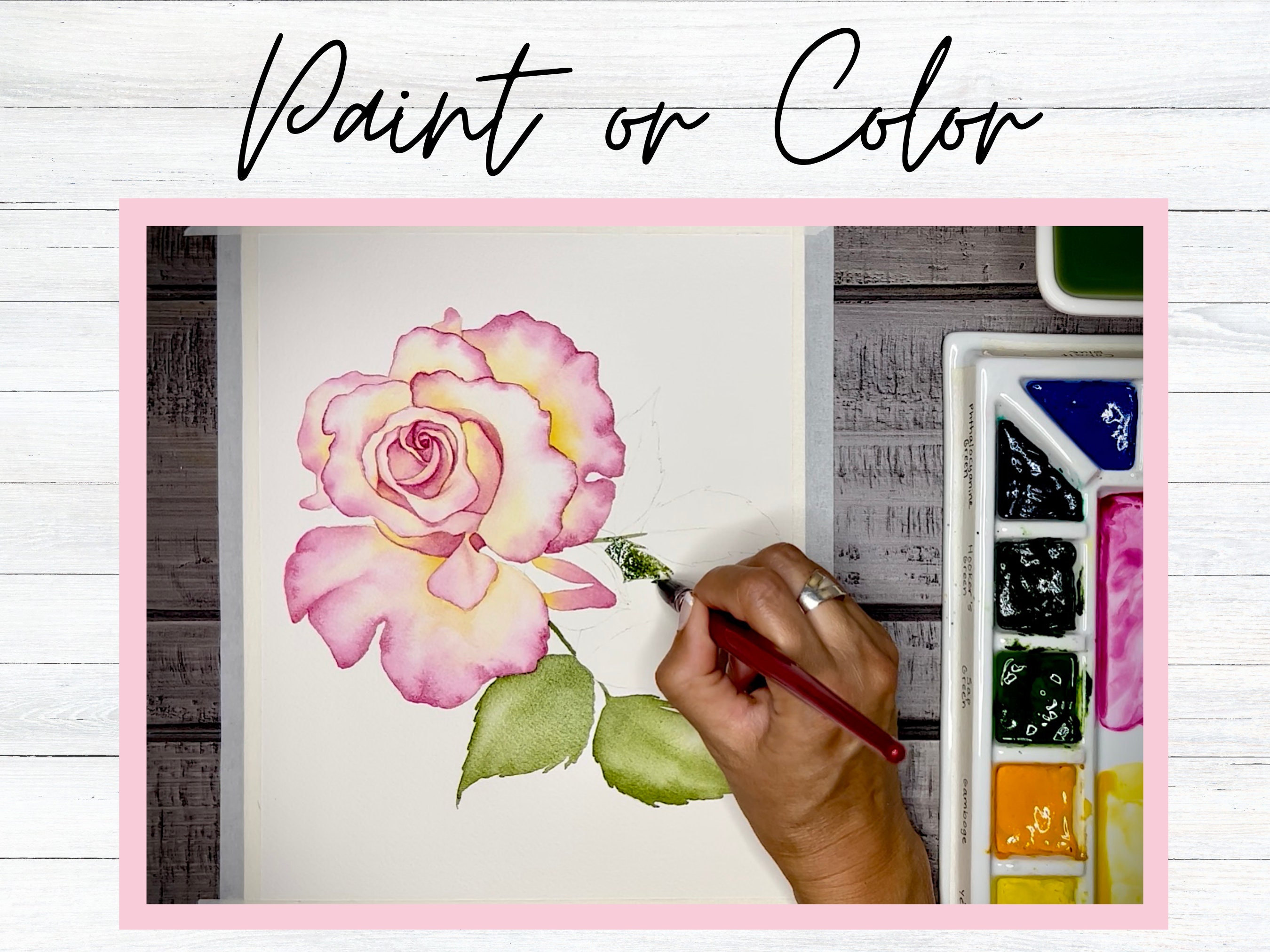 Rose Flower Drawing Outline/template Printable Traceable PDF Coloring ...