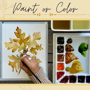 Autumn Leaf Acorn 8x10 Digital Outline Coloring Page Printable Download ...