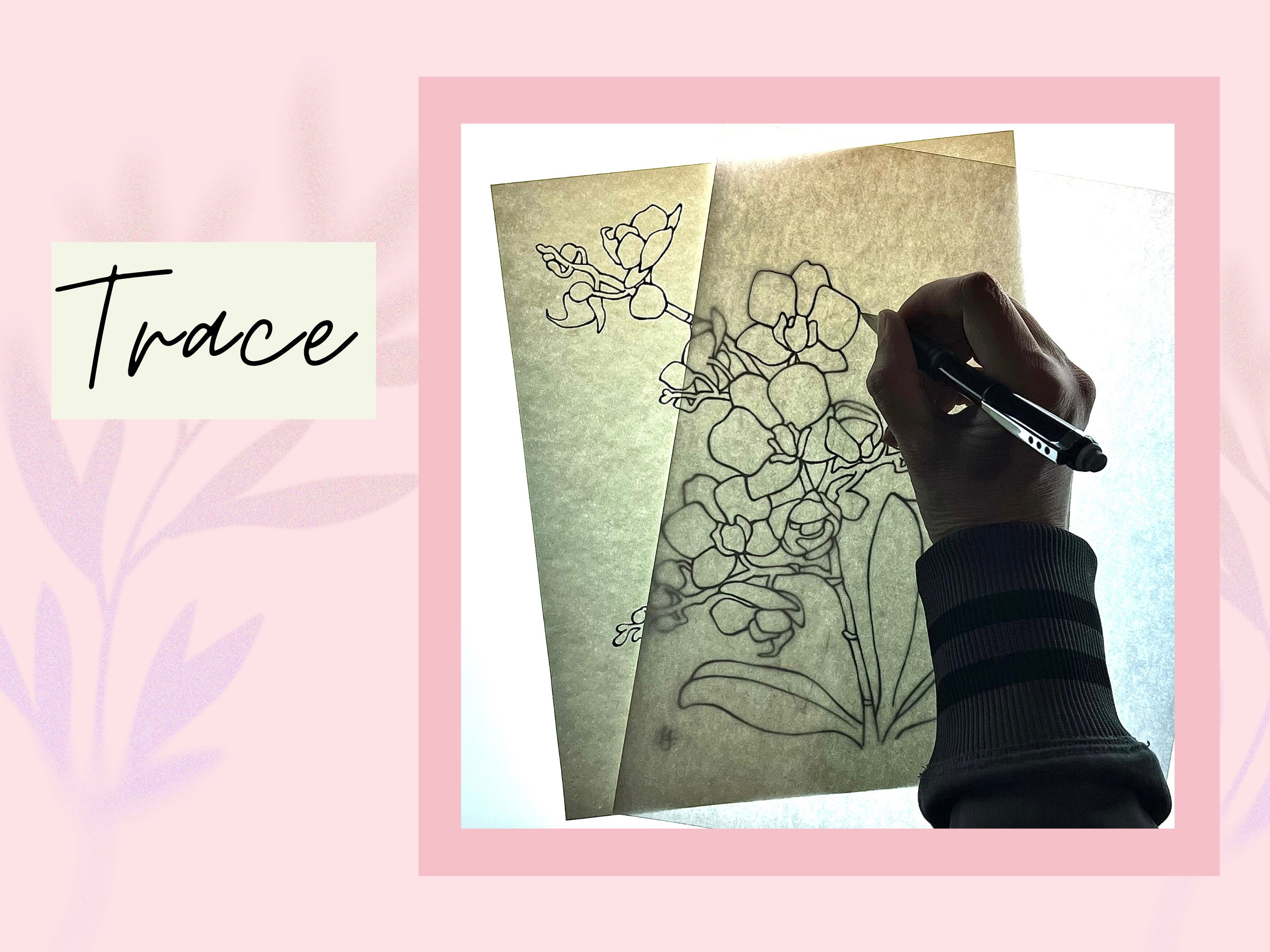 Flower Outline! Orchid PDF Download Digital Printable! - Etsy