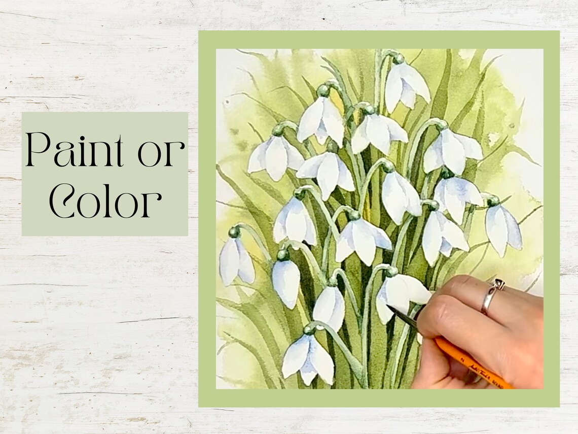 Snowdrop Flower Outline/template! Digital Printable PDF - Etsy