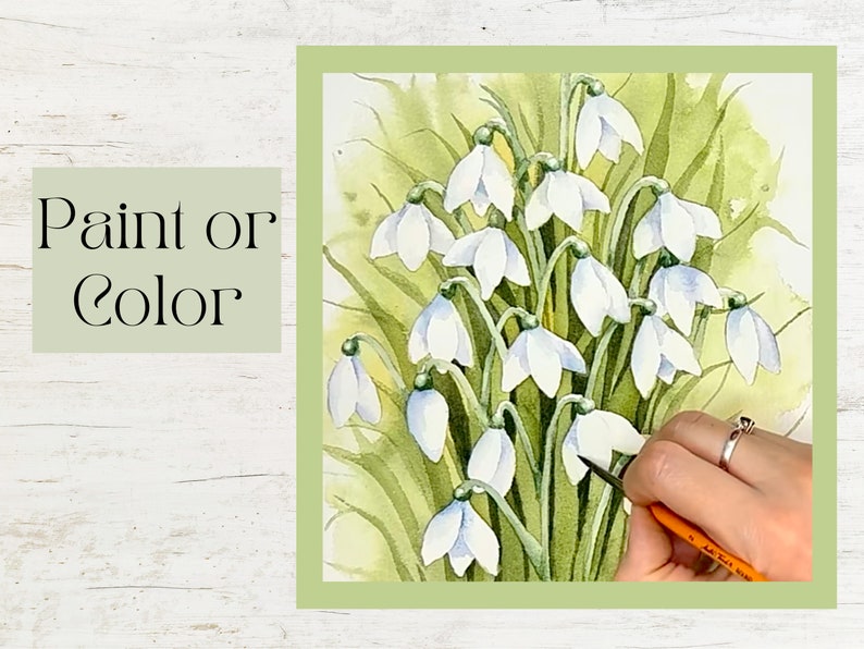 Snowdrop Flower Outline/template! Digital Printable PDF - Etsy