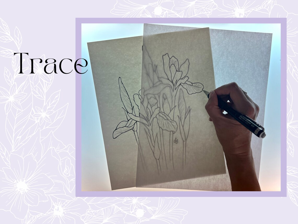 Wild Iris Flower Digital Outline Drawing Download Printable Traceable ...