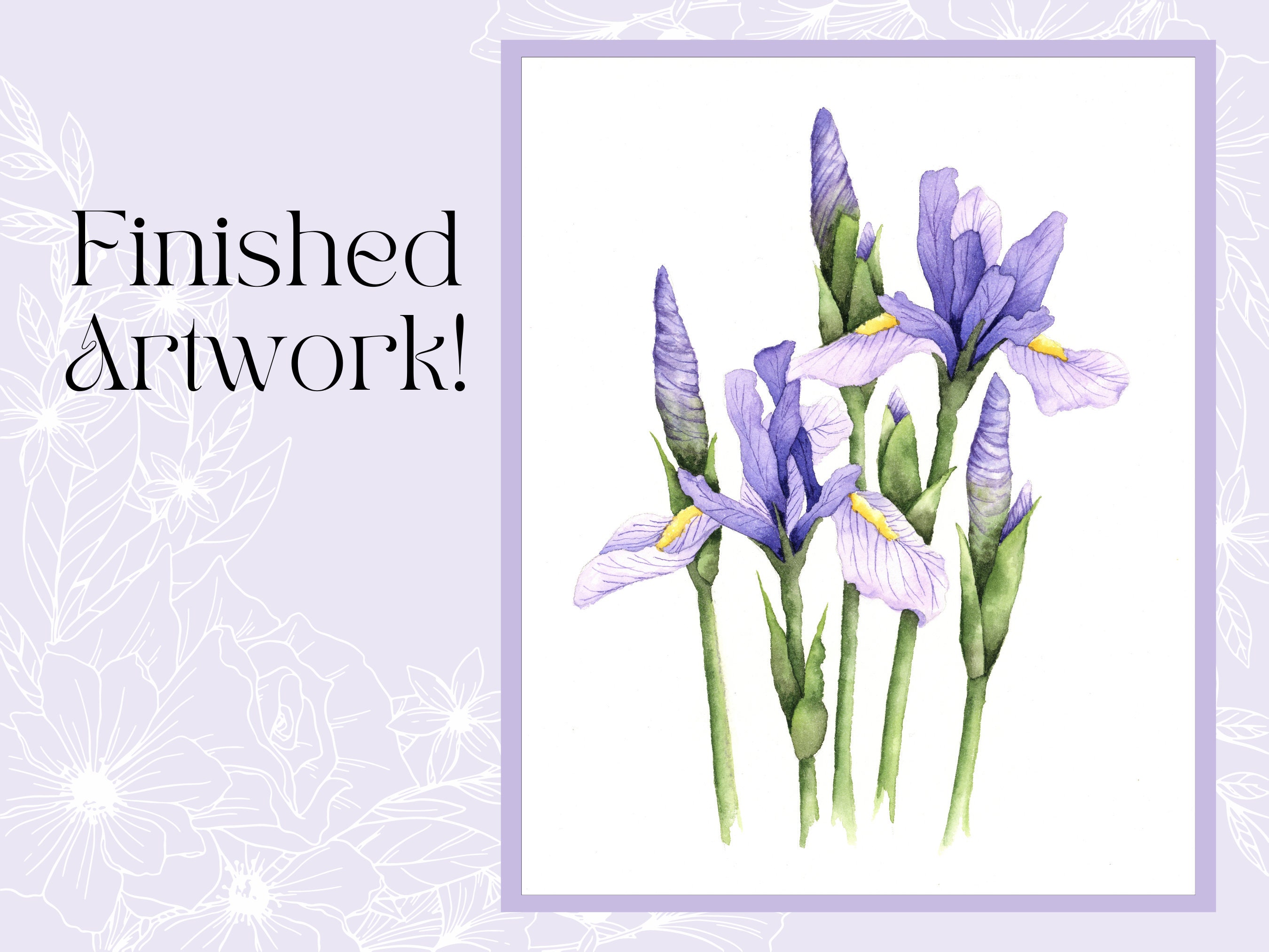 Wild Iris Flower Digital Outline Drawing Download Printable Traceable ...