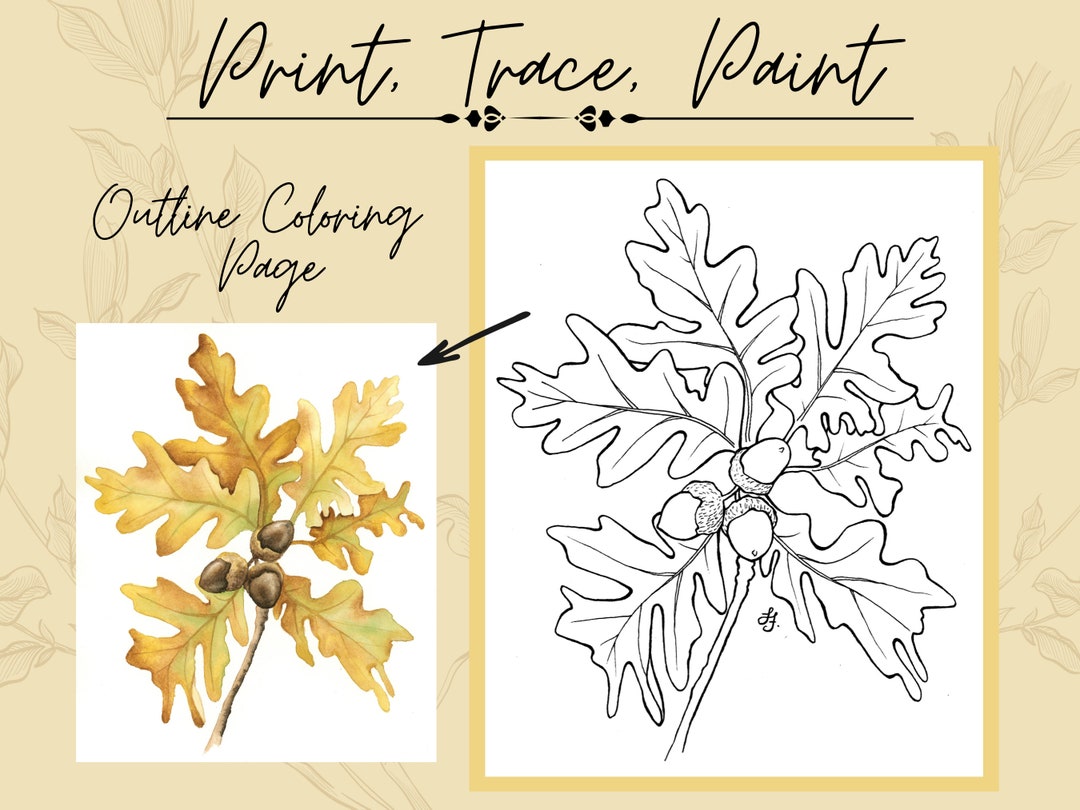 Autumn Leaf Acorn 8x10 Digital Outline Coloring Page Printable Download ...